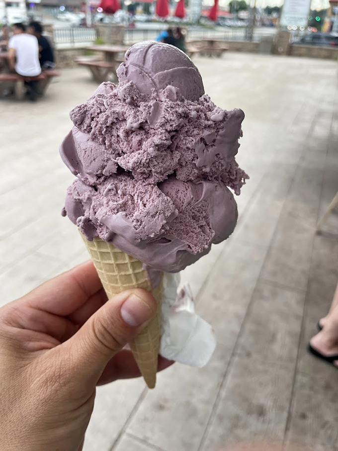 Purple majesty in a waffle cone. This blackberry masterpiece isn't just dessert&mdash;it's the royal treatment your taste buds have been lobbying for since breakfast.