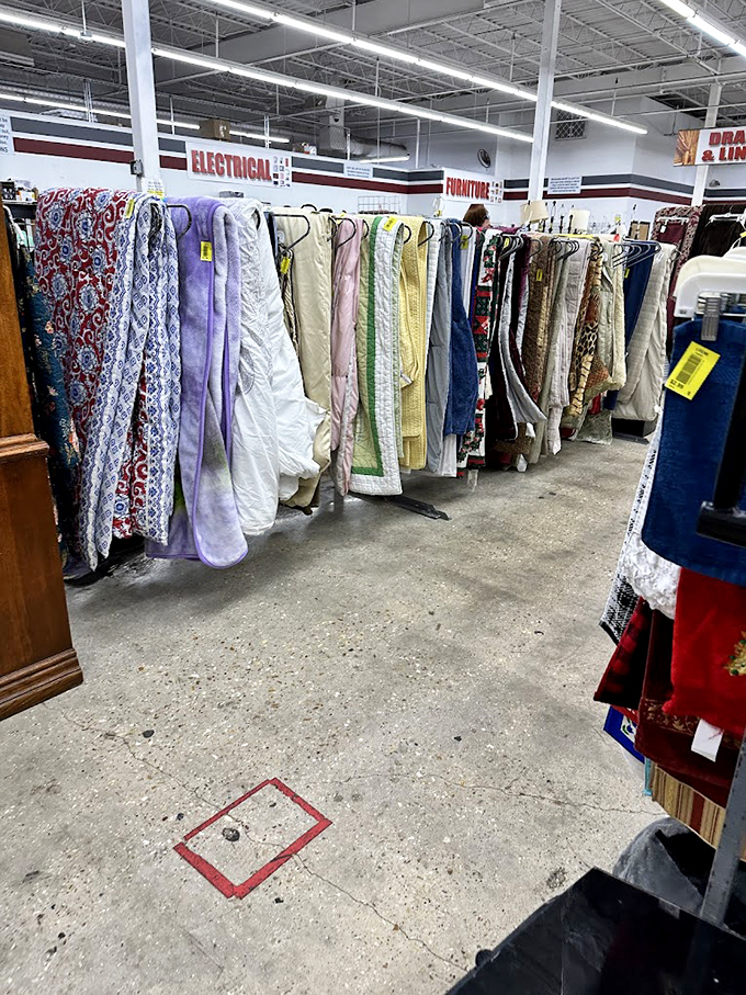 Vintage lamps huddle together like old friends at a reunion, each with a story to tell and a corner to illuminate in someone's living room. 
