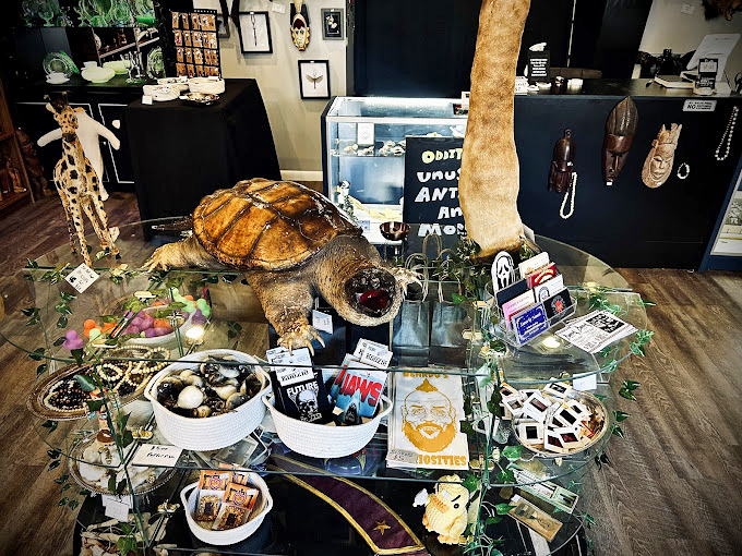 A haunting portrait watches over displays of crystal and beaded jewelry, merging the spiritual and the aesthetic in Beardo's distinctive style.