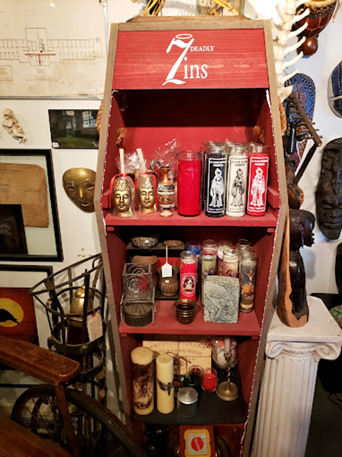 Tiny taxidermied ducklings in boxes – simultaneously adorable and unsettling. Nature preserved in a way that makes you look twice.