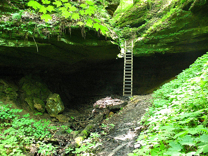 That ladder disappearing into darkness isn't the entrance to a horror movie&mdash;it's an invitation to explore geological wonders few visitors discover.