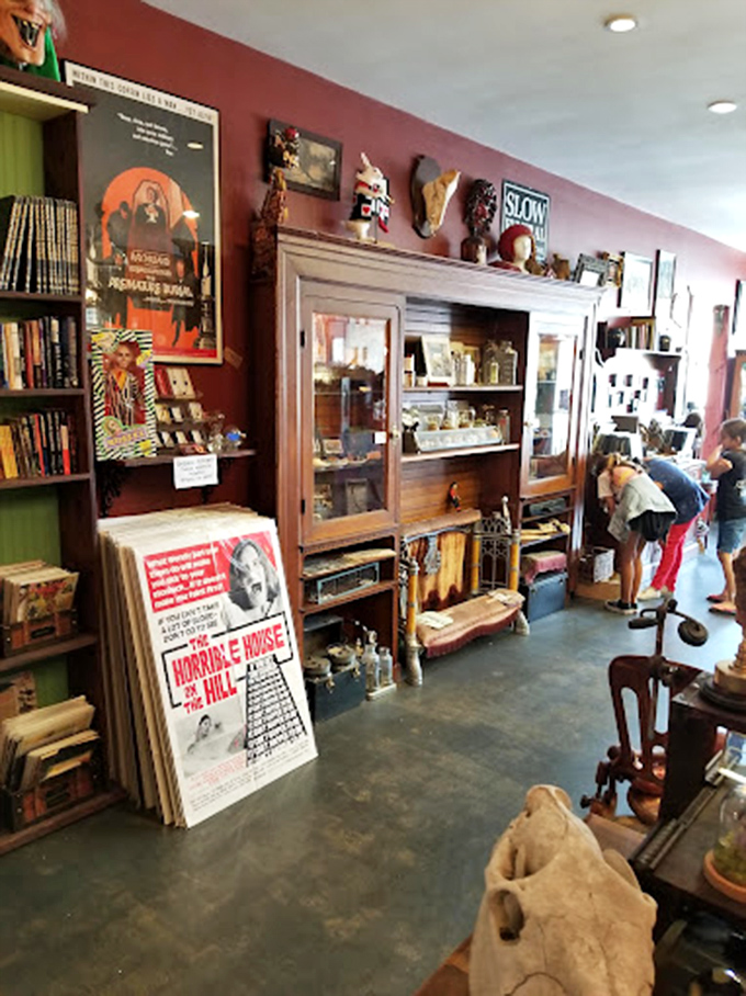 Vintage movie posters and carefully curated oddities create a museum-like atmosphere where horror film buffs can indulge their macabre passions. 