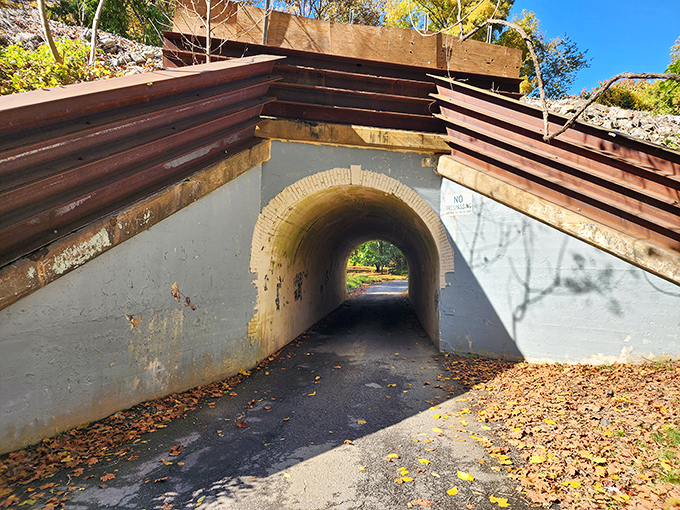 Sunlight paints the tunnel entrance with deceptive warmth. Like a horror movie's first act, everything seems perfectly normal.