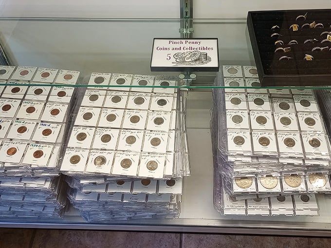 Numismatists rejoice! Meticulously organized coin collections offer pocket-sized history lessons. Each tiny metal disc represents both currency and cultural artifact from a specific moment in time.