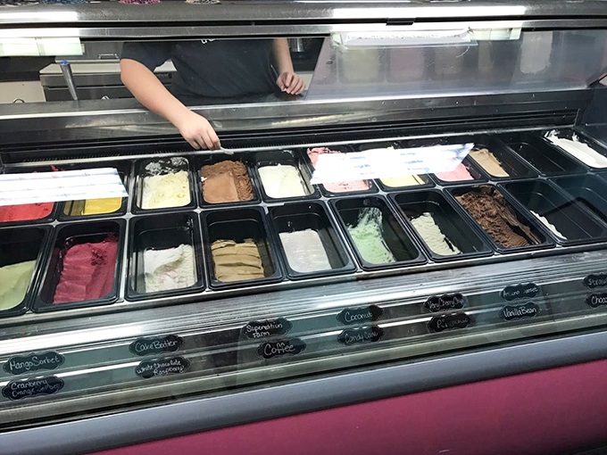 The display case—a frozen museum of possibility where each colorful pan contains a different path to happiness.