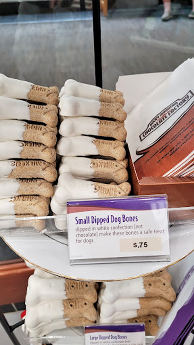 Even four-legged friends deserve special treats! These dipped dog bones prove that chocolate lovers refuse to leave anyone behind&mdash;even the pups.