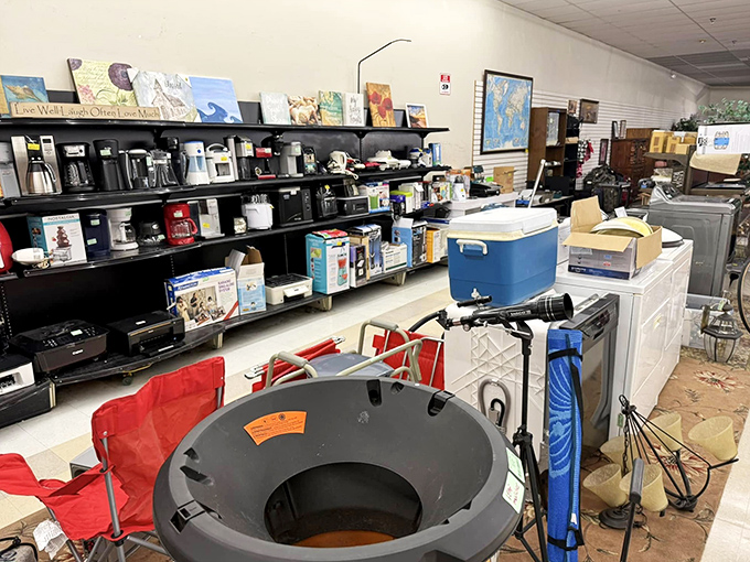 The small appliance section: where coffee makers, toasters, and waffle irons get their second chance at kitchen stardom.