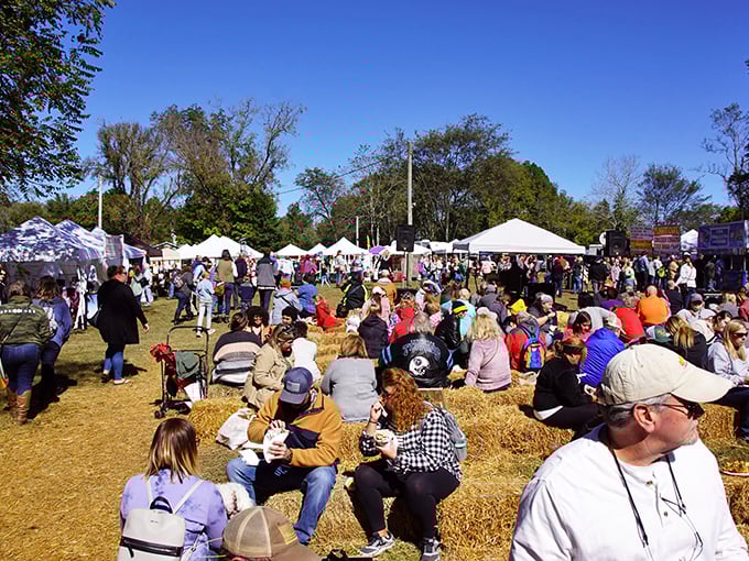 Festival day in Bell Buckle means hay bale seating, white tents, and the kind of community gathering that big cities try to manufacture.