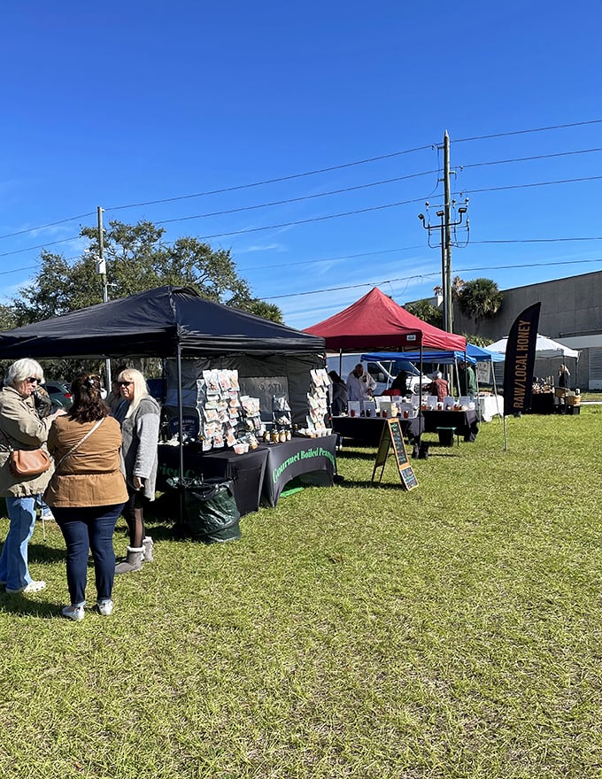 Local farmers markets prove Florida grows more than just retirement communities. Fresh produce and friendly faces create the perfect Saturday morning ritual.