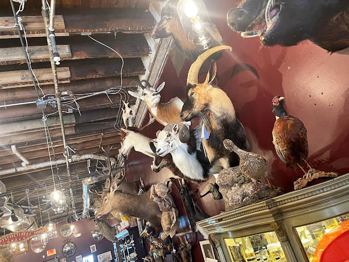 A menagerie of preserved mountain goats and antelope create a surreal safari, frozen mid-climb on their journey to nowhere. 