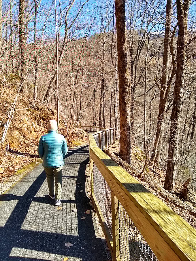 Solo wandering on a sun-dappled winter path. Sometimes the most profound travel companions are silence and your own thoughts.