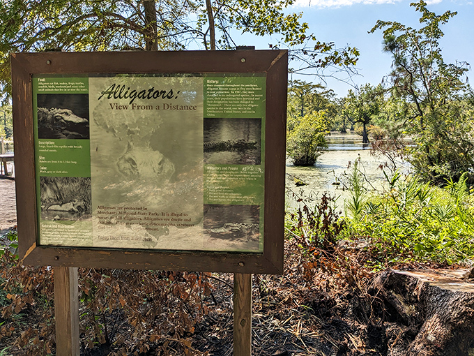 "Alligators: View From a Distance"&mdash;perhaps the most important relationship advice you'll receive during your visit.