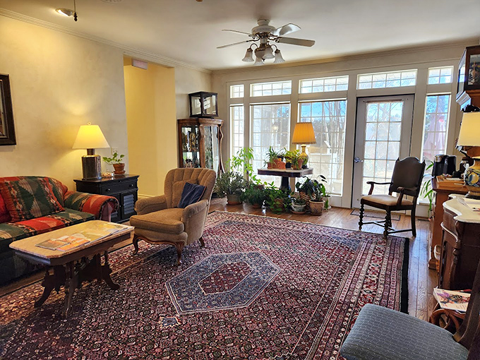 The living room's Persian rug has probably hosted more interesting conversations than most talk shows—and with more comfortable seating.