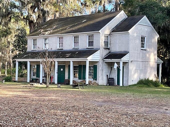 The park's historic house stands as elegant testament to antebellum architecture, surrounded by live oaks that have witnessed centuries of Georgia history.