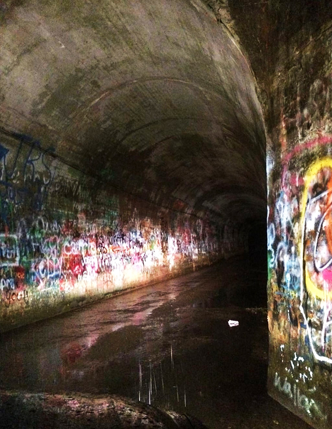 When night falls, even the bravest visitors question their choices. The tunnel's darkness seems to swallow light itself, along with any sense of security.