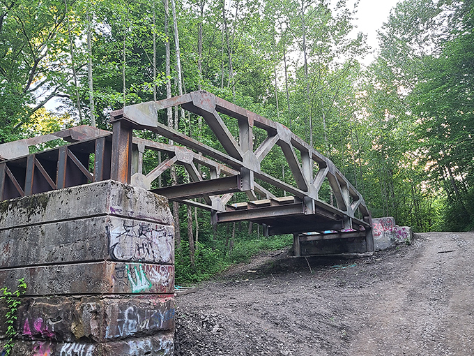 Rust never sleeps on this abandoned bridge. Once carrying coal and passengers, it now transports only memories across an invisible divide of time.