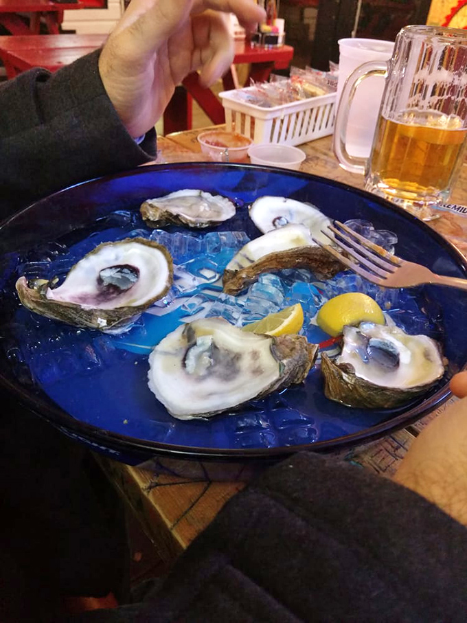 Fresh oysters on the half shell, glistening on ice &ndash; nature's perfect appetizer with just a squeeze of lemon and cold beer nearby.
