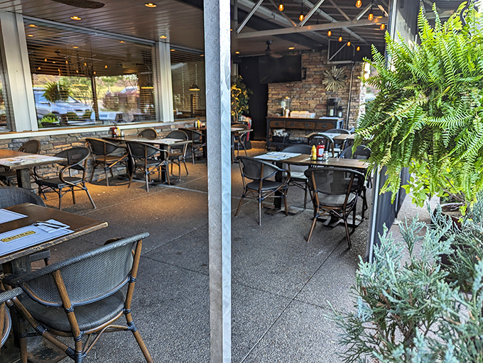 Outdoor seating that whispers "even your alfresco dining deserves to be this comfortable." Fresh air makes everything taste better.