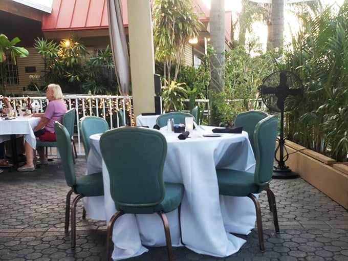 Outdoor dining surrounded by lush Florida greenery—where white tablecloths meet tropical breezes for that perfect alfresco experience.
