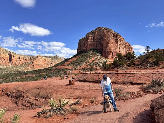 Man's best friend enjoying nature's greatest hits. Dogs understand the simple joy of a good trail better than most humans.