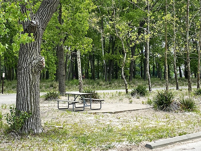 Shaded picnic areas offer the perfect lunch backdrop&mdash;because everything tastes better with a side of dappled sunlight and lake breezes.