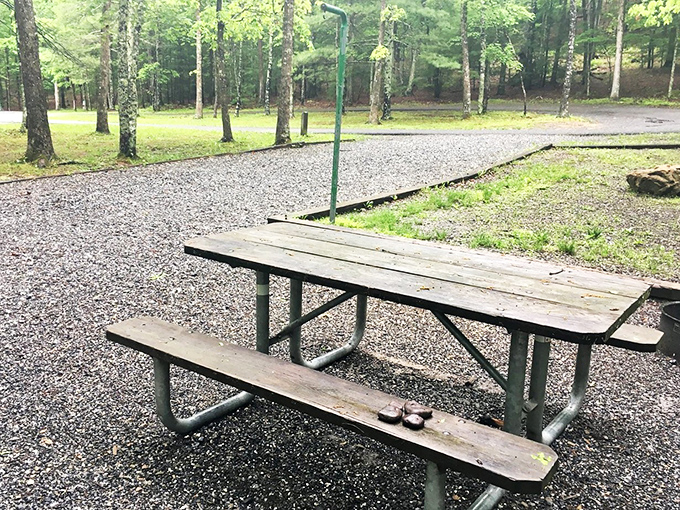 The original outdoor dining experience&mdash;where the ambiance is five-star even when your meal comes from a cooler.