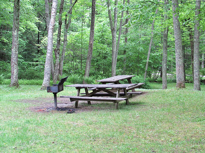 This picnic spot whispers possibilities of sandwiches that somehow taste better outdoors. The forest provides ambiance no restaurant can match.