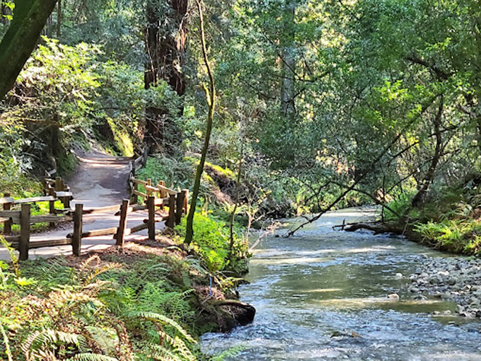 The trail and creek run parallel like old friends who've been traveling together for centuries, each enhancing the other's journey.