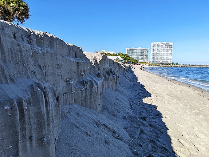 Nature's sculptural genius on display. Coastal erosion creates these dramatic sand cliffs, a reminder that Florida's shoreline is constantly reinventing itself.