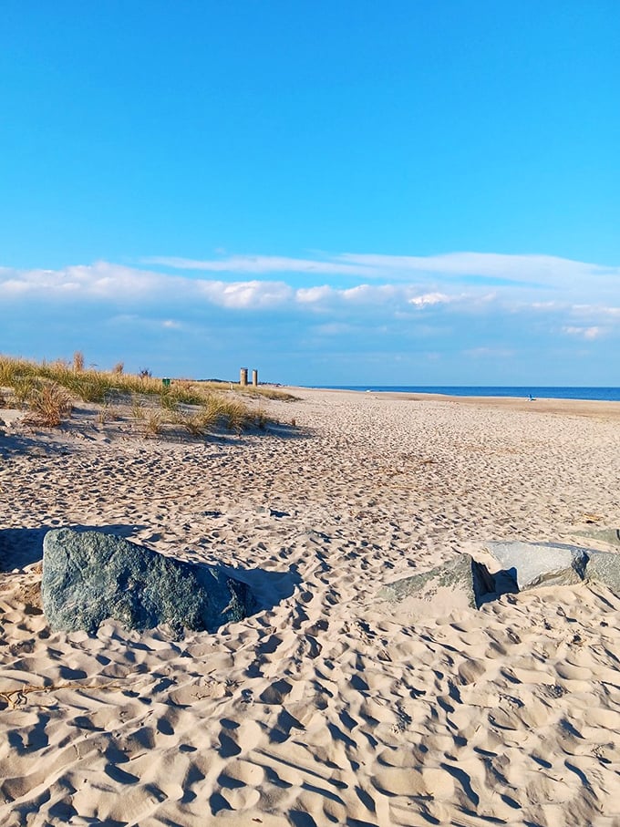 Sandy stretches meet azure waters at Cape Henlopen's beaches, where World War II observation towers stand as historical exclamation points on the horizon.