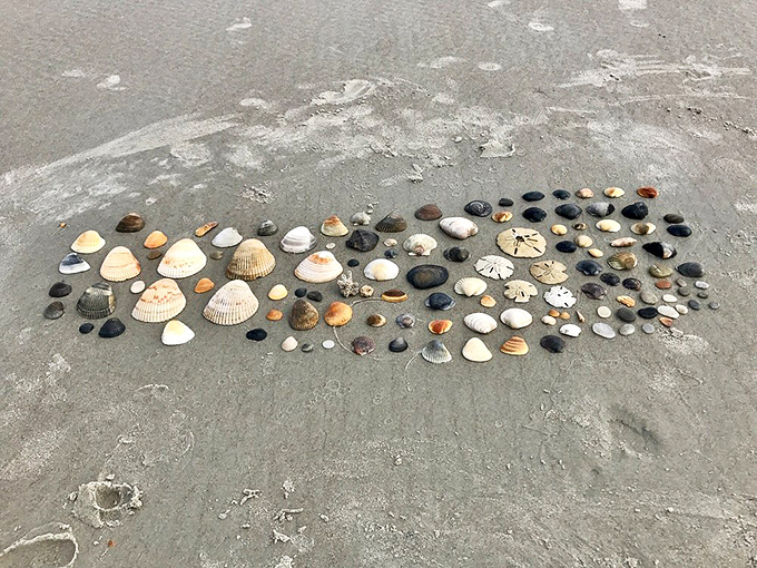 Beach treasures arranged with deliberate care &ndash; someone's artistic meditation on the infinite variety of nature's designs.