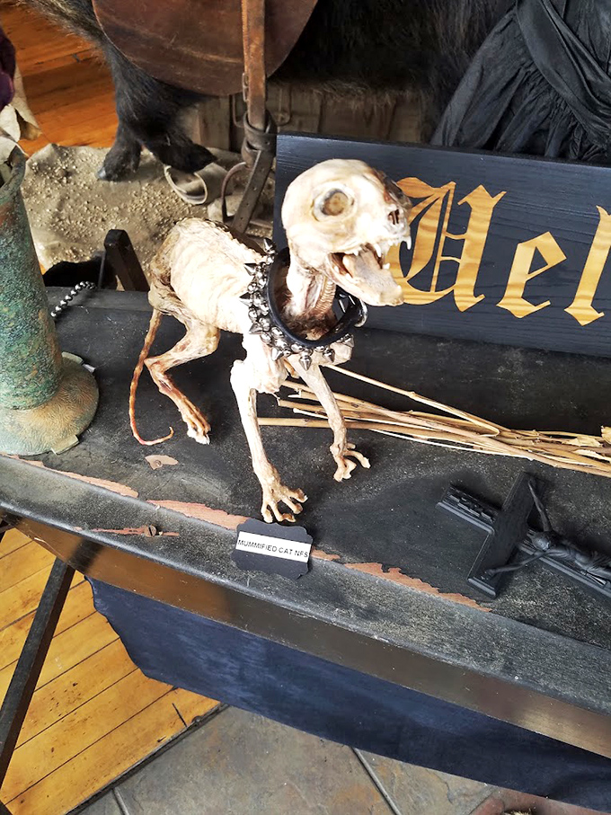 This skeletal pup might have been someone's best friend once, now serving as a macabre reminder of mortality with Victorian flair.
