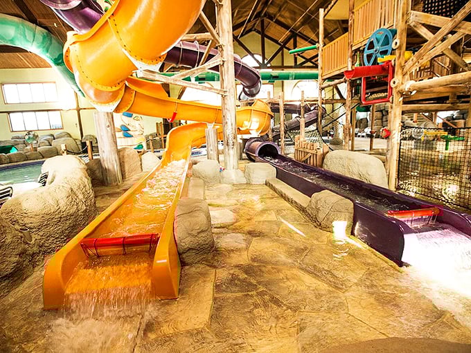 Engineering marvels designed for maximum velocity and minimal dignity. These slides deliver exactly 2.7 seconds of pure adrenaline followed by an ungraceful splash.