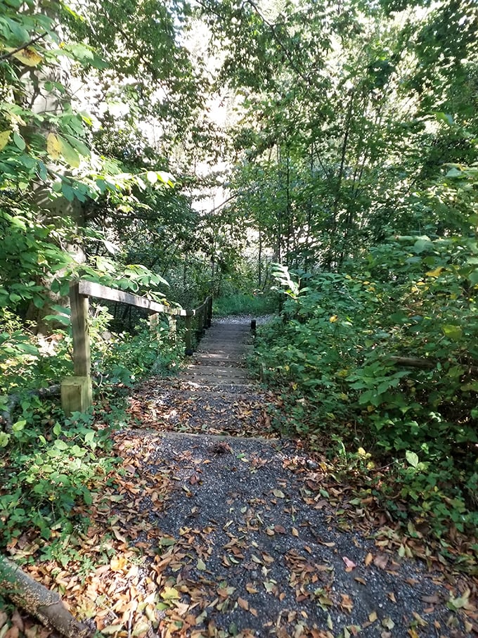 A path less traveled but more photographed. These gravel steps lead somewhere special, like the stairway in your favorite fantasy novel.