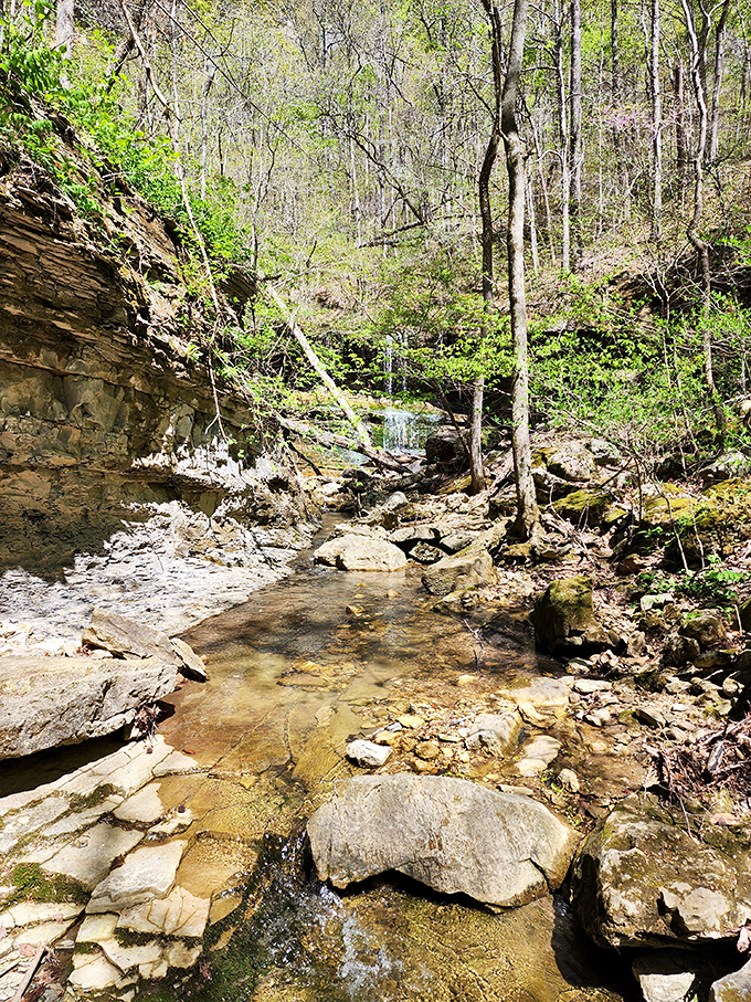 Water dances over layered limestone, creating nature's own staircase. Each step tells a geological story millions of years in the making.