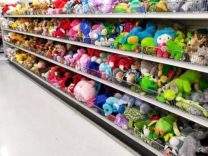 Stuffed animal adoption center where forgotten fuzzy friends wait patiently for their next cuddle. That pink elephant has seen some things.