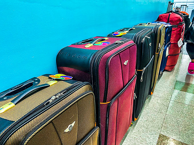 Travel companions lined up like eager volunteers, ready to carry your treasures home or accompany you on your next adventure.