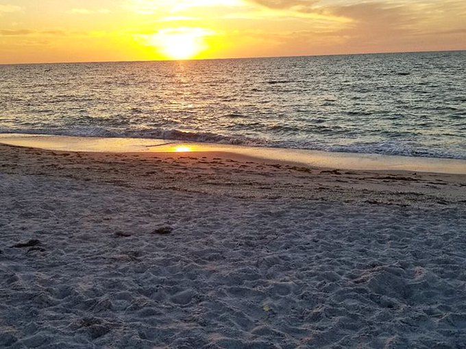 Sunset transforms the Gulf into liquid gold. No filter needed&mdash;or even possible&mdash;for nature's daily farewell performance.