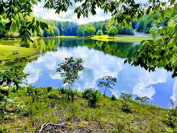 Mirror, mirror on the lake &ndash; Georgia's blue skies and green forests create double the visual splendor in this perfect reflection.