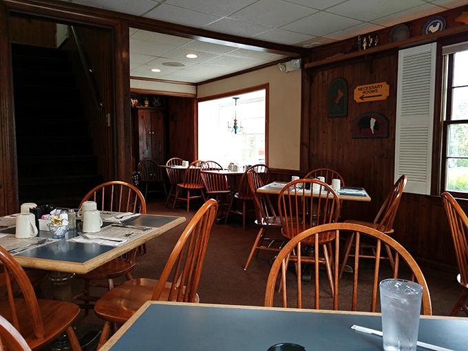 Morning light streams through windows illuminating simple tables where memorable meals happen without Instagram interruptions.