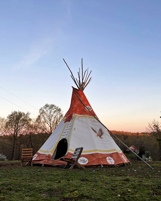 Not your average accommodation option! This teepee offers stargazing with zero light pollution and camping stories you'll be telling for years to come.