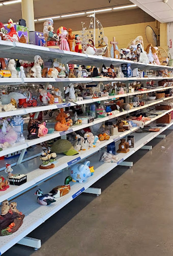 Stuffed animal sanctuary! From well-loved teddy bears to brand-new plushies with tags still attached, proof that cuteness never goes out of style.