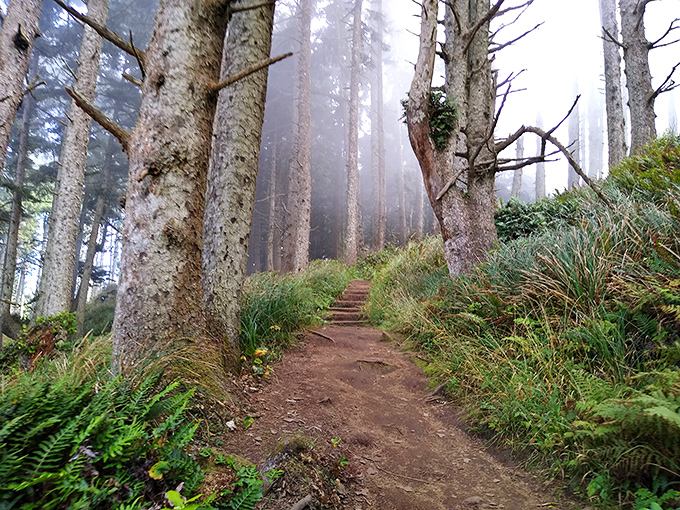 Misty mornings transform the lighthouse trail into something from a fairy tale&mdash;or the opening scene of a delightfully spooky movie.