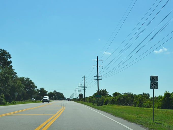 The power line parade marches alongside Highway 62, connecting rural communities while the road itself connects their stories.