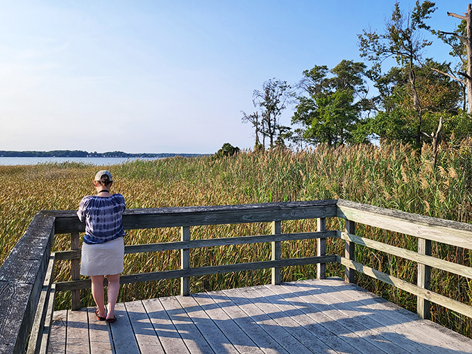 Contemplating the vastness of marshland from this wooden perch feels like stepping into a Thoreau essay&mdash;with better cell reception.