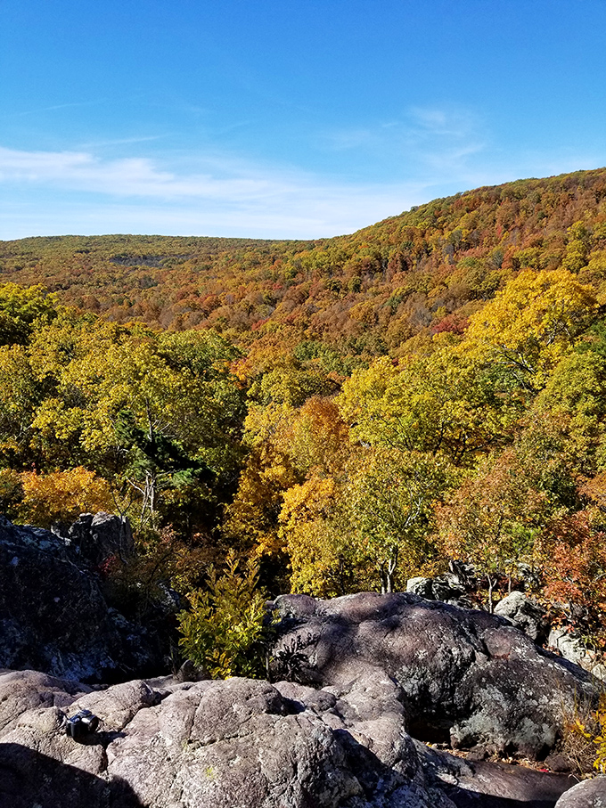 Fall transforms Taum Sauk into a painter's dream palette. These autumn colors make even the most dedicated leaf-peepers weak in the knees with seasonal splendor.