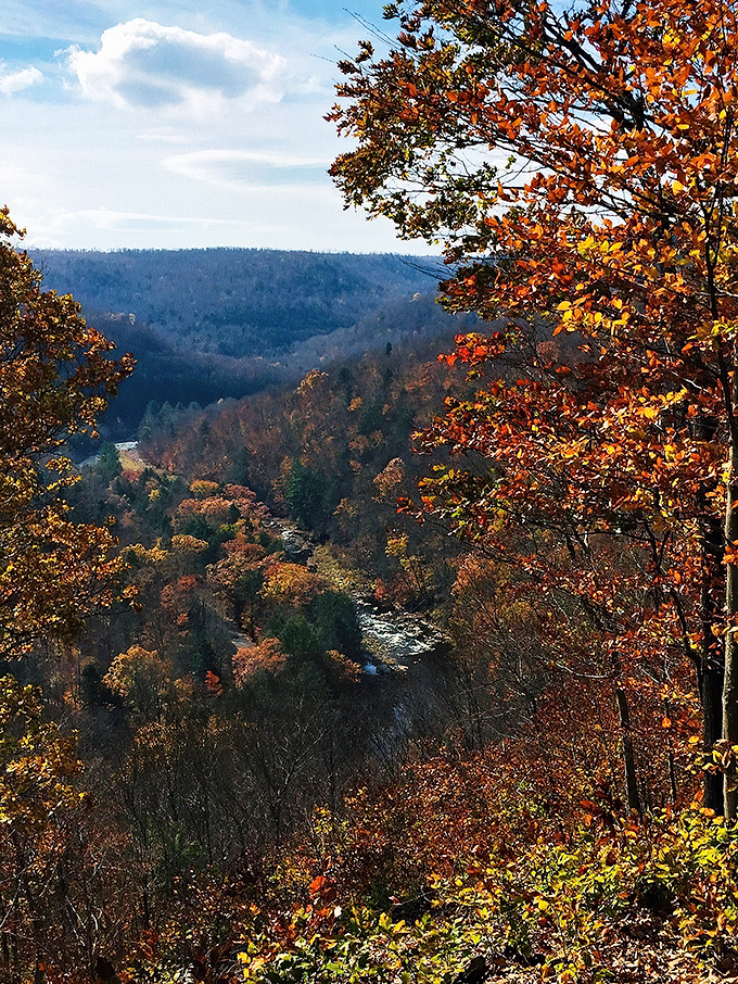 
The park entrance in autumn glory. That road doesn't just lead to a destination&mdash;it delivers you to a completely different state of mind. 