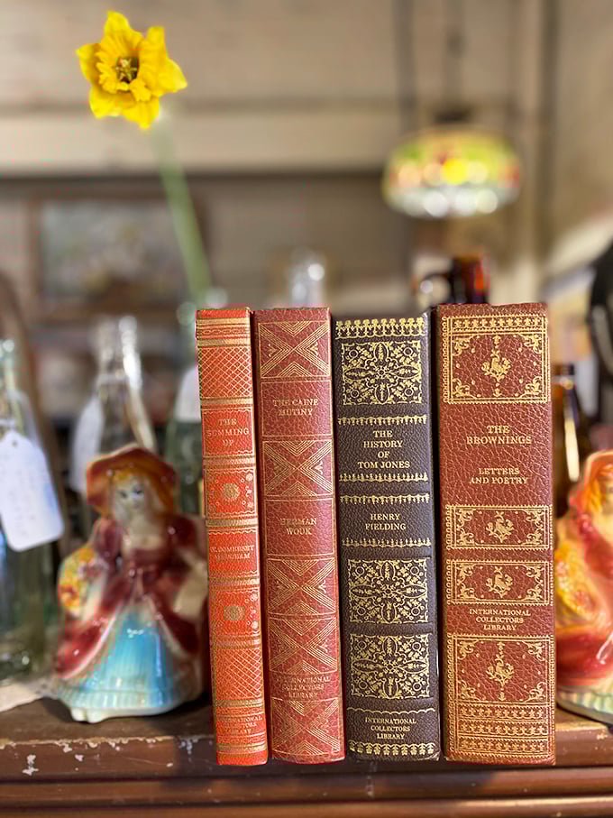 Leather-bound classics stand sentinel between porcelain figurines, reminding us that some stories never go out of style.