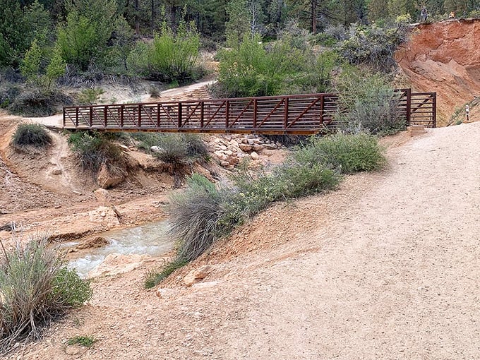 This bridge isn't just functional&mdash;it's the perfect frame for the stream below, creating a composition that would make Ansel Adams reach for his camera.