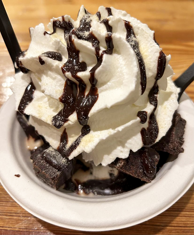 The brownie sundae that makes you want to cancel all your appointments and spend quality time alone with your spoon and zero regrets.